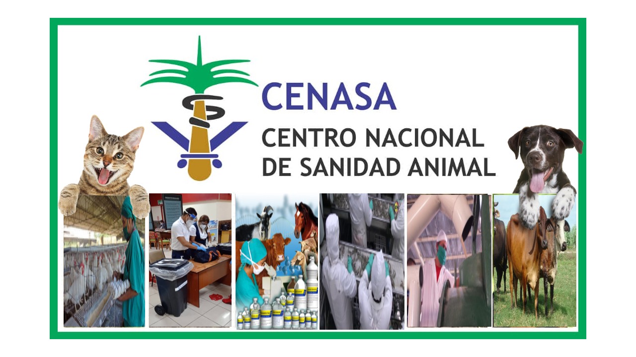 Nota Informativa del Centro Nacional de Sanidad Animal