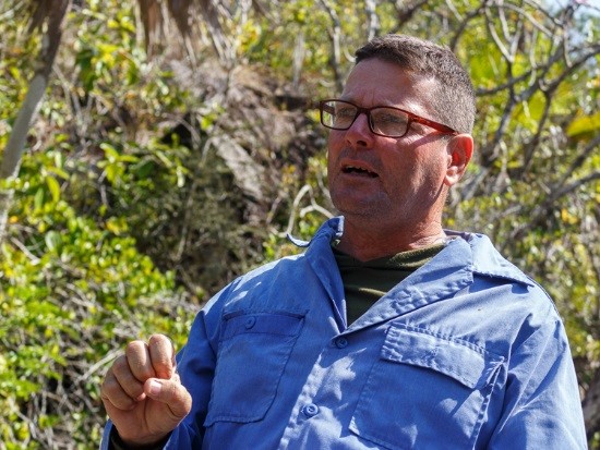 Rocío del Sol: tesoro del bosque en Guane, Pinar del Río